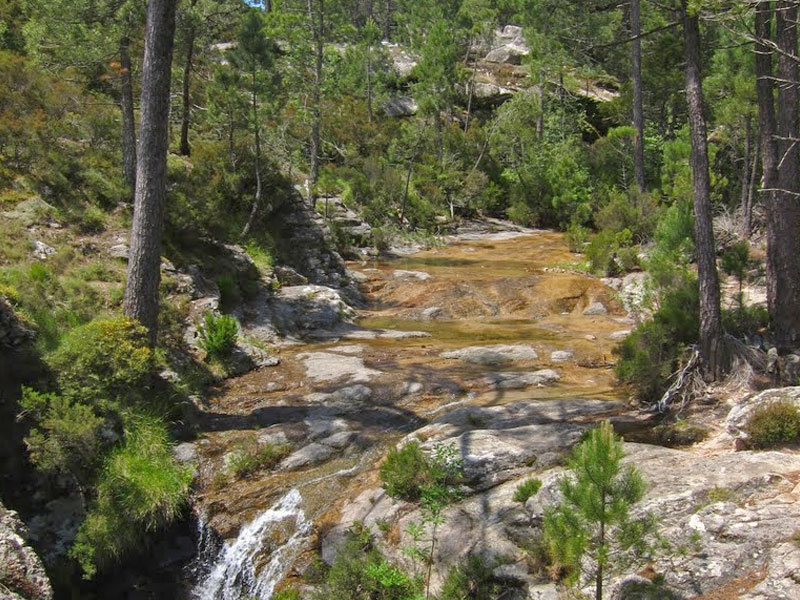 Cascade de la Piscia di Gallu - ospedale | Corse-randos.com